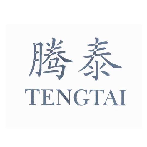 泰腾图标