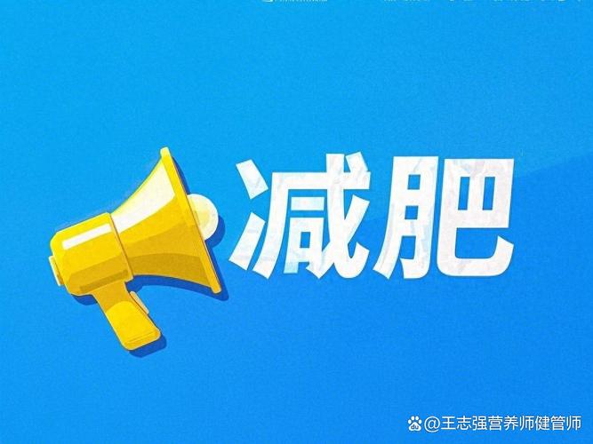 体重保卫战202图标