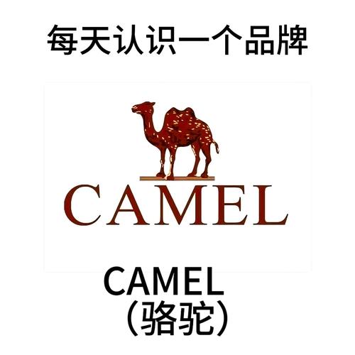 骆驼网app