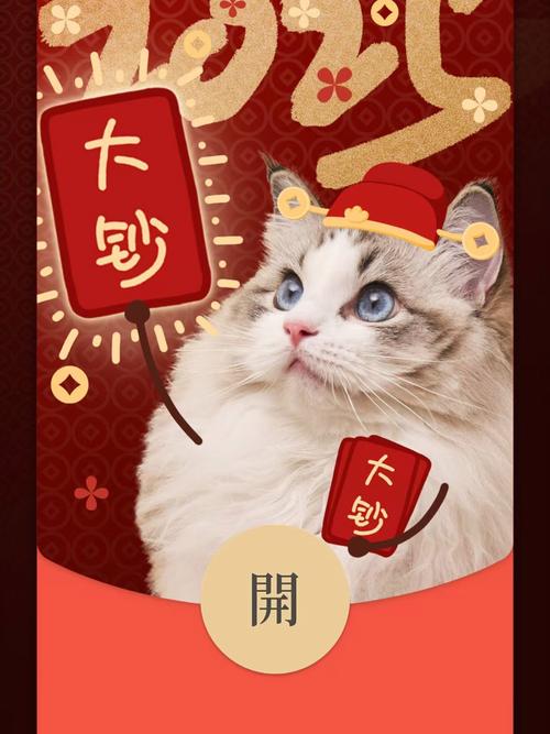 猫咪变变变红包版图标
