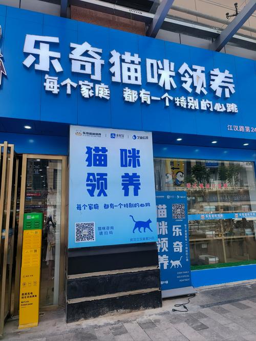 养猫领钱截图