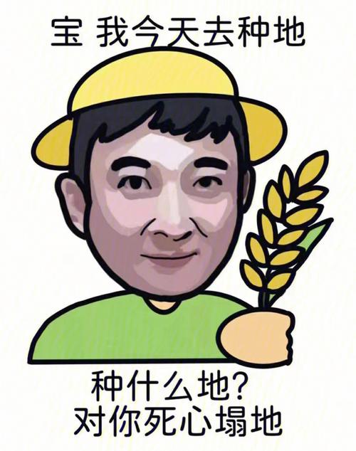 我飞机打的贼6分截图