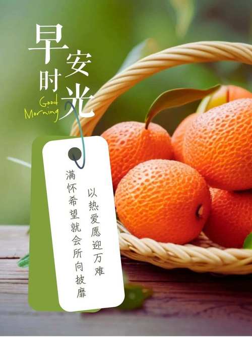 早安时光