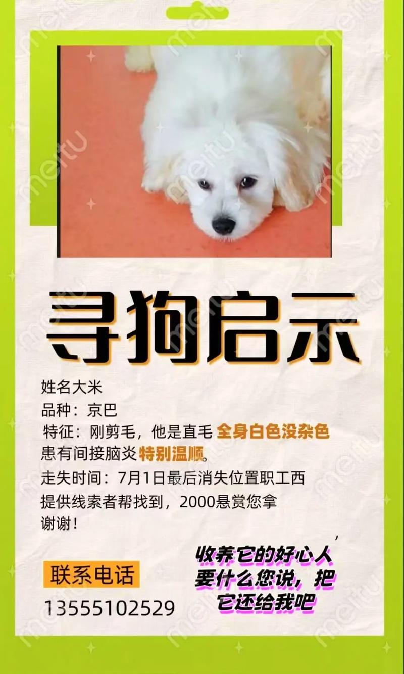 悬赏狗app官网版