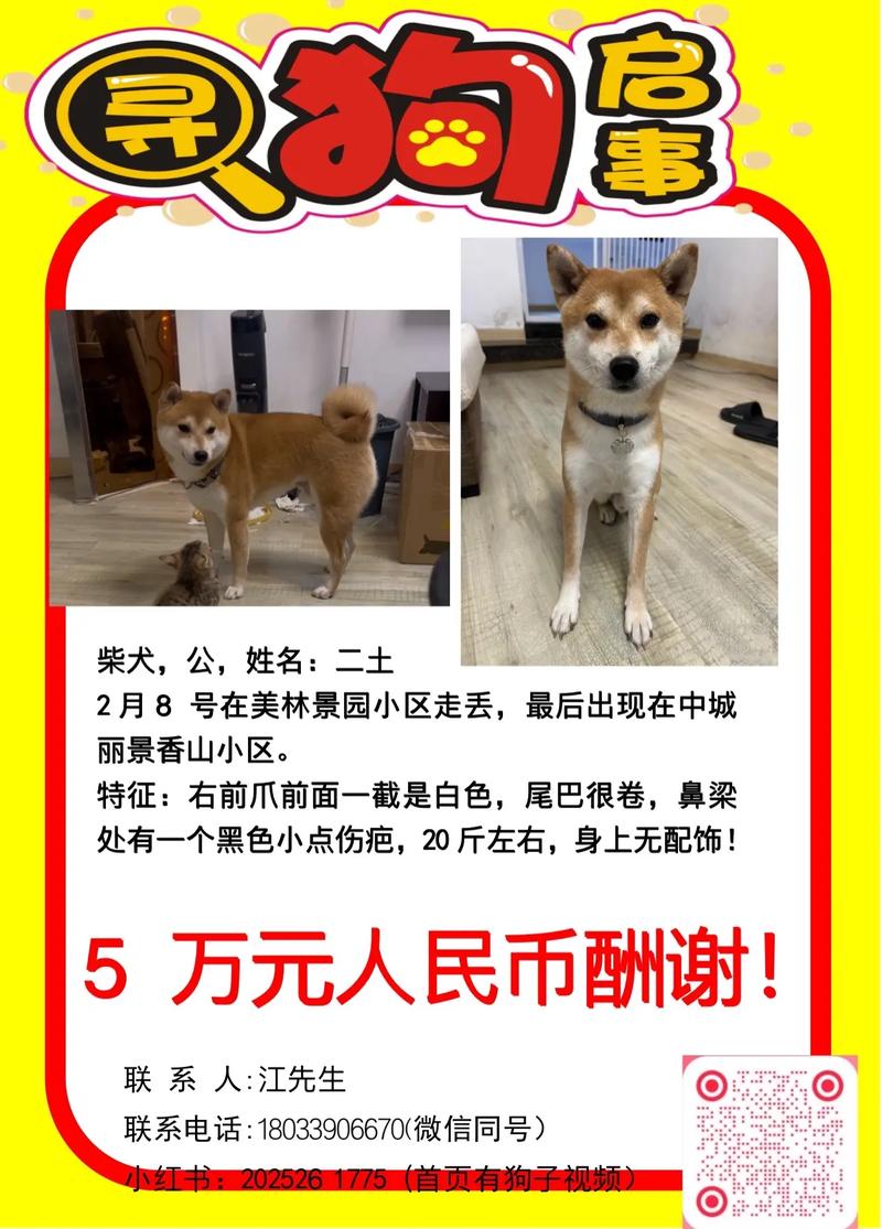 悬赏狗赚钱平台截图