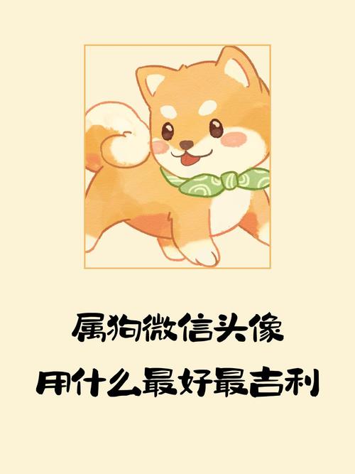全民招财犬