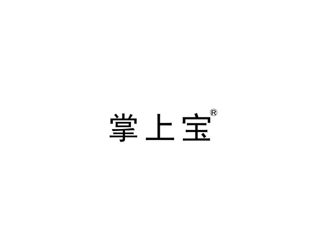 掌上宝官方版图标