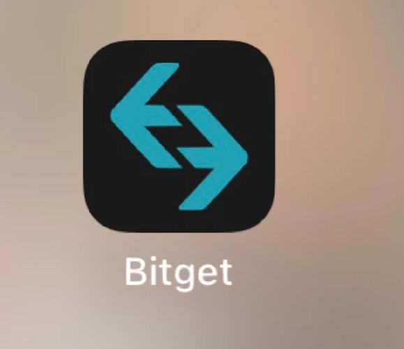 BitKing图标