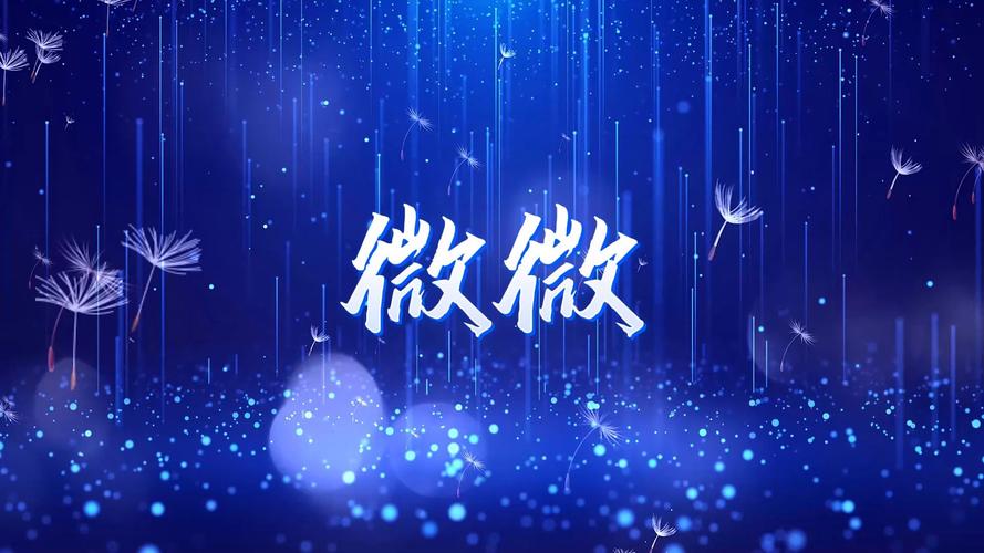 微微视频