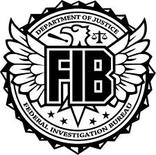 FIB离子计划截图