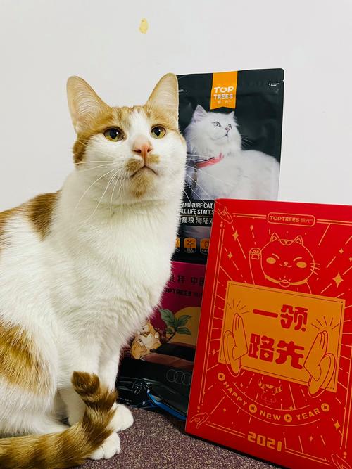 小小铲屎官红包版图标