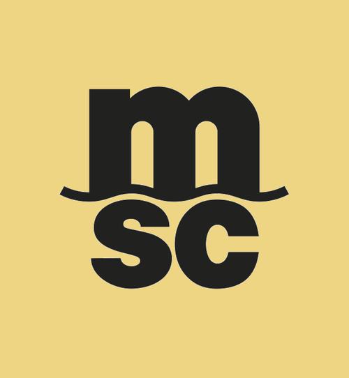MSC头条手机版图标