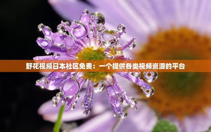 野花社区视频日本最新版图标