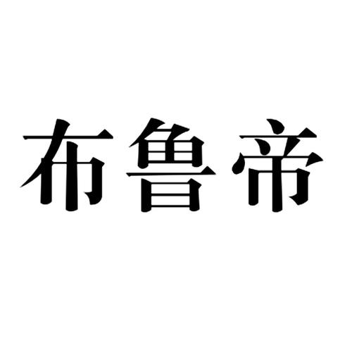 布鲁帝2019截图