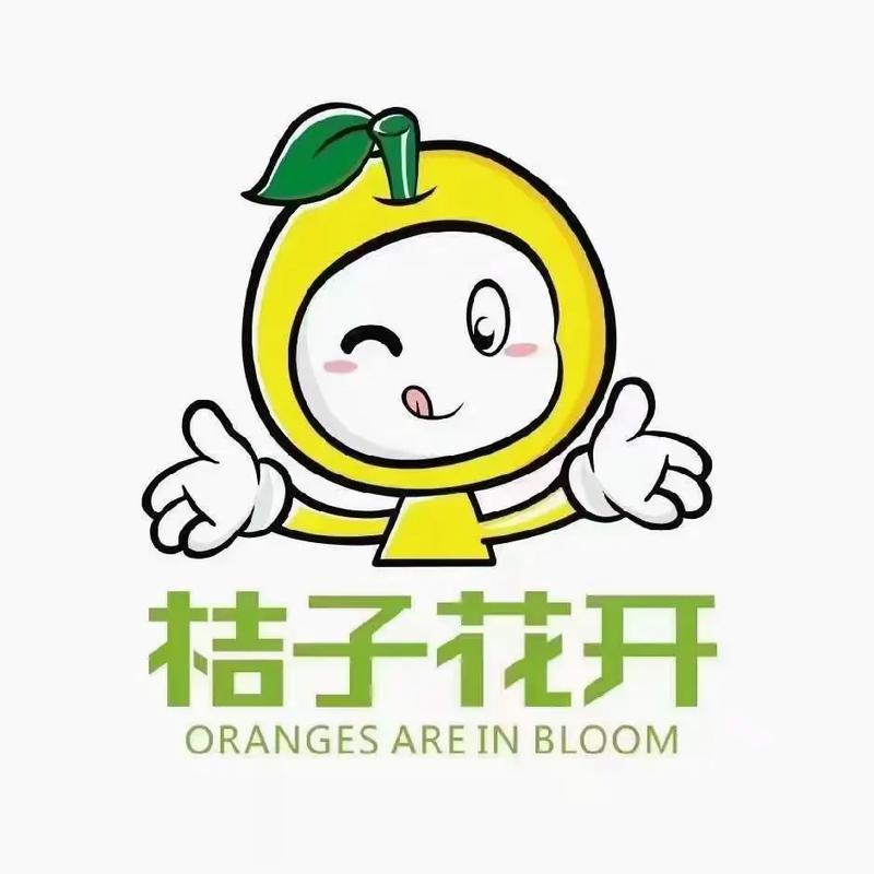 桔子花花图标