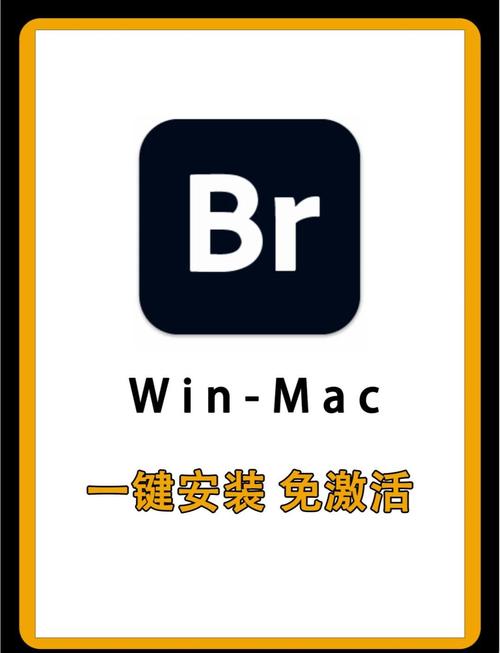 br至尊助手挂机截图