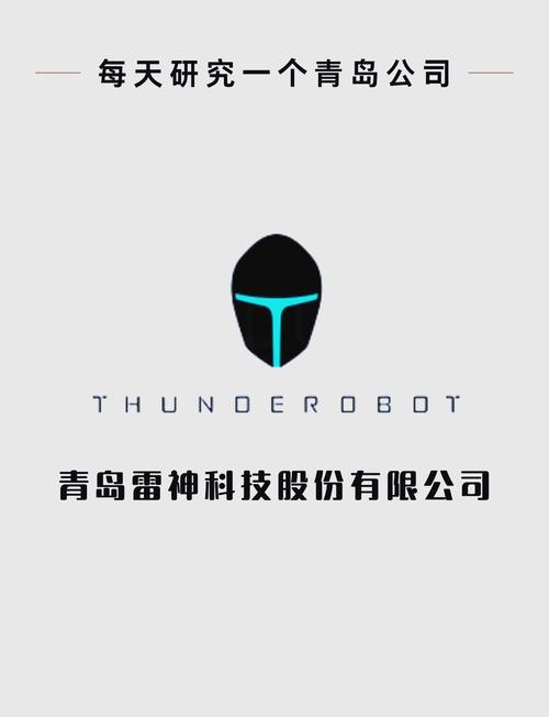 雷神代刷网全网2截图