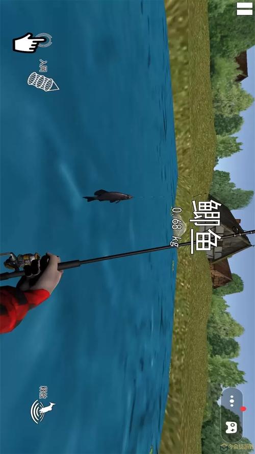 海岛钓鱼王