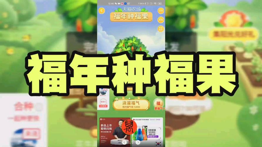 福年种福果