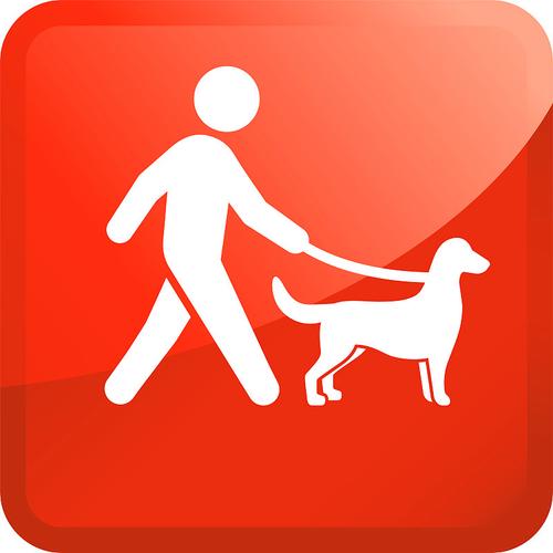 全民遛狗手机版截图