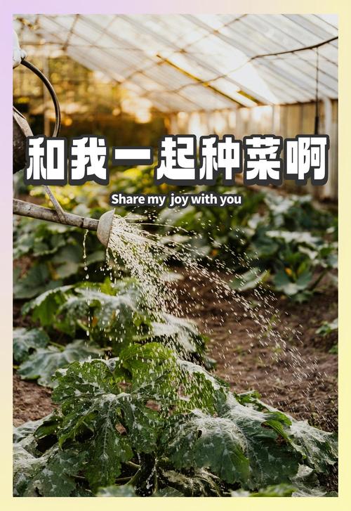 全民种菜手机版图标