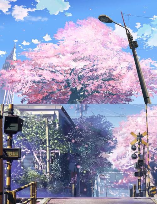 樱花风车动漫极速
