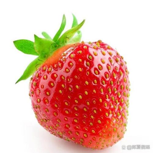 王草莓的幸福生活红包版