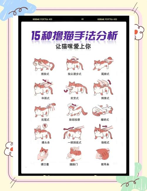 一起来撸猫抖音版