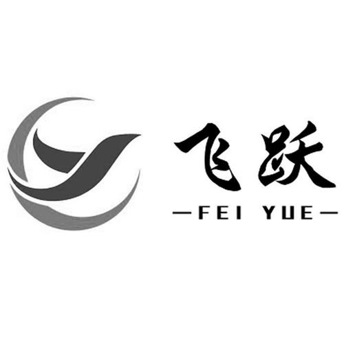 飞跃辅助平台图标