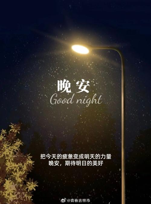 深夜的晚安