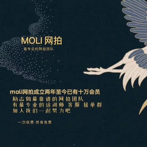 moli网拍平台图标
