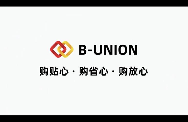 B-Union截图