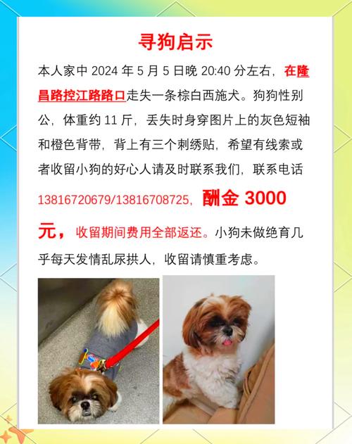 悬赏狗红包版