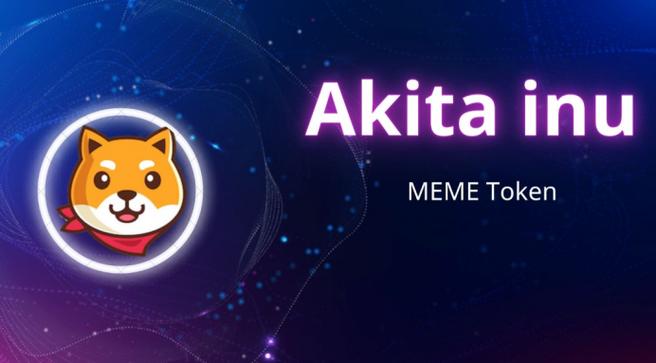 AKITA币图标
