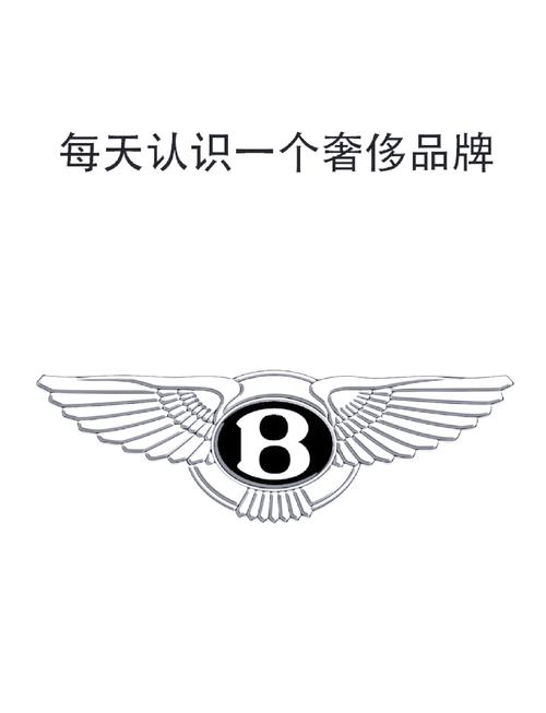 宾利视界图标