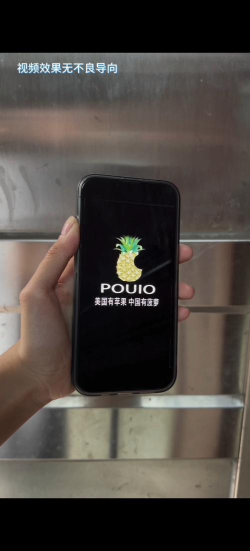 菠萝合约手机版