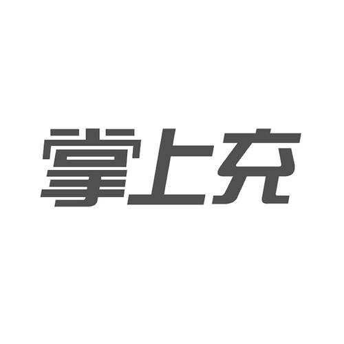 掌充科技图标