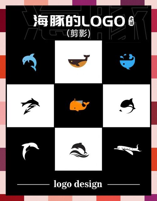 海豚打卡手机版图标