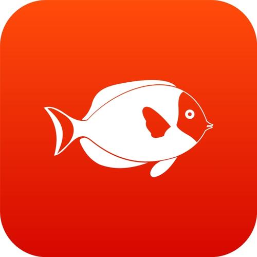 小鱼赚钱最新