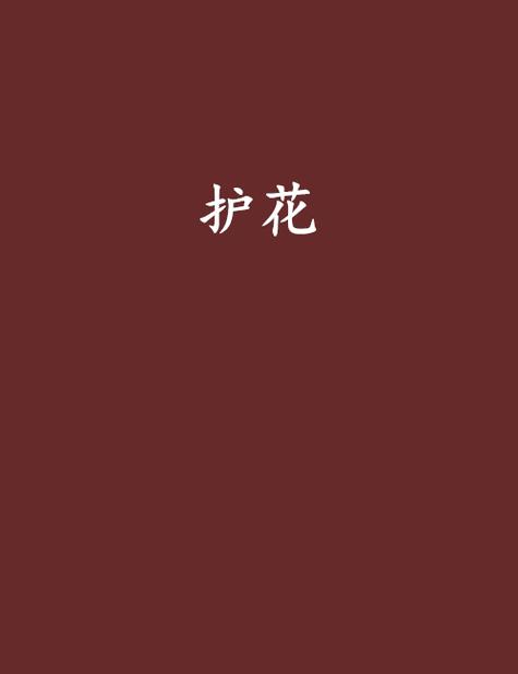 护花小说安卓免费图标