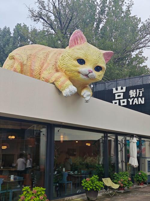 疯狂猫打卡赚图标