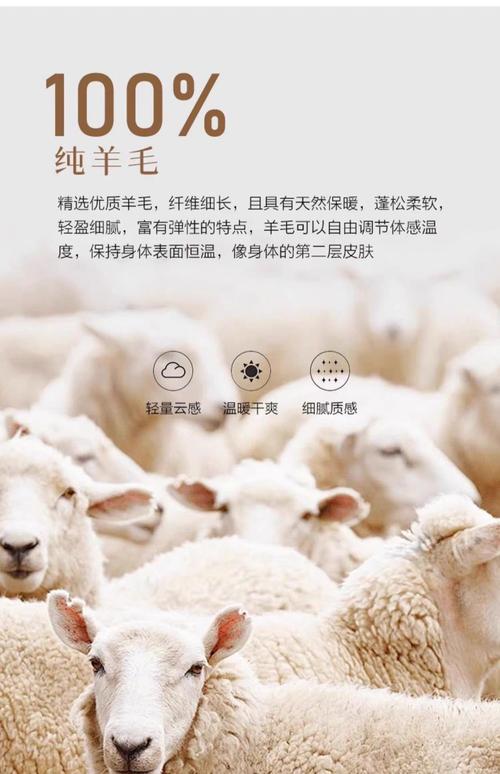 羊毛集市手机版截图