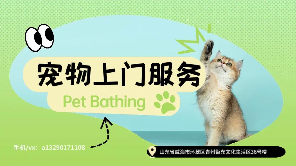 天天遛猫养猫赚钱游戏截图