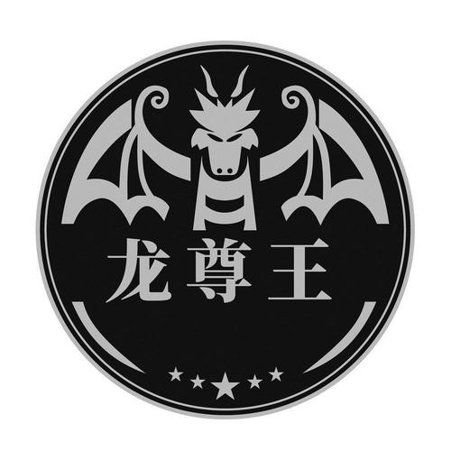 龙王辅助授权码截图