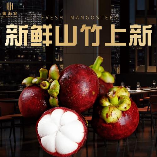 山竹资讯官网版图标