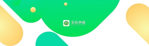 全民养猪官网版截图