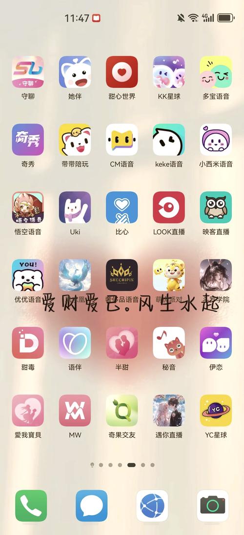 倾动语音交友21截图
