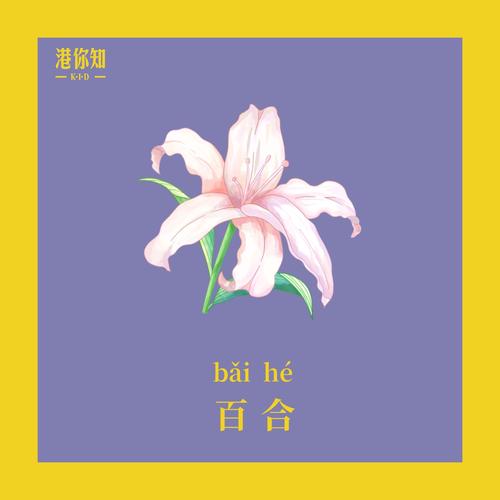 百合阅读转发官网
