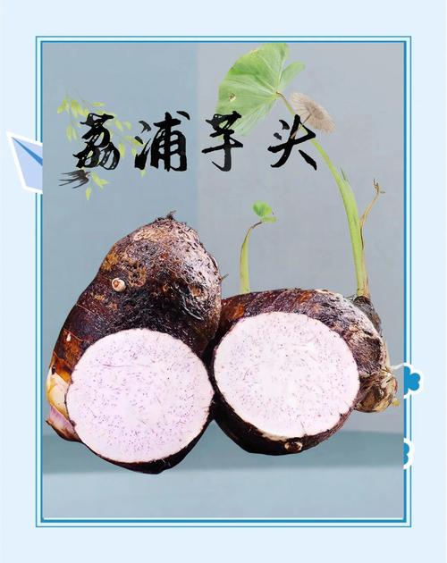 甜芋头官网手机版截图