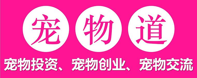 养宠时代20元红截图
